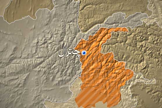 Security forces kill seven militants in Chitral - News Pakistan | News ...