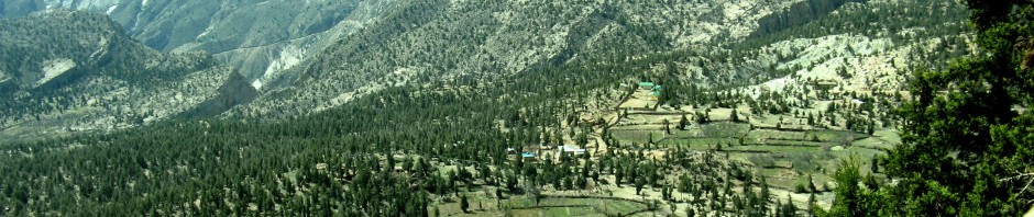 Pakistan’s Juniper Forest makes it to the Global Network of Biosphere ...